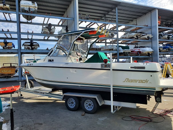 24' SHAMROCK 246 WALKAROUND - WAYPOINT MARINE GROUP